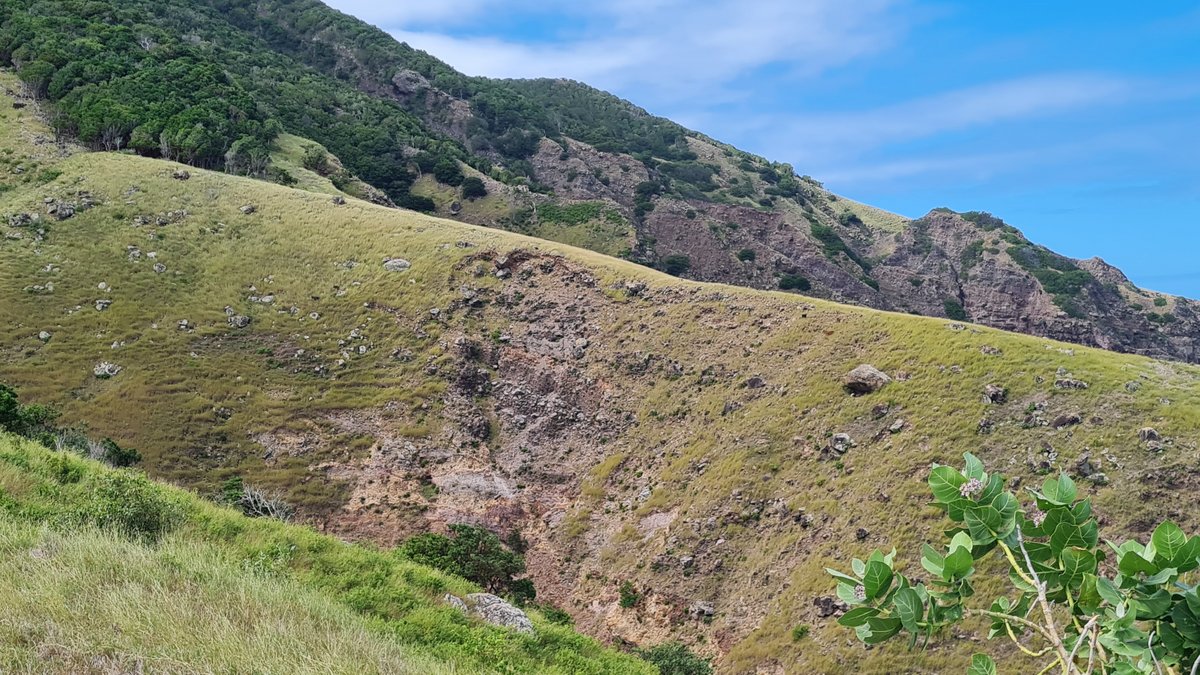 News & Public Entity Saba